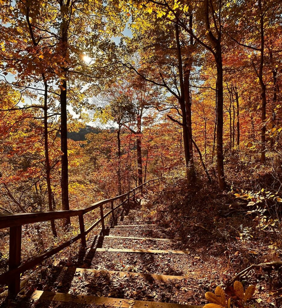 Clifty Falls State Park November Guided Hikes & Programs - Visit Madison