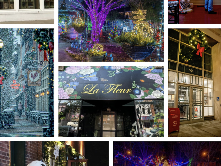 Discover the Autumn Splendor of Madison | A Leaf-Lover's Paradise ...